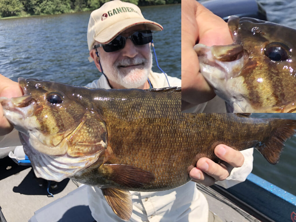 Wisconsin Bass Fishing Guide | Five More Bass Philosophies