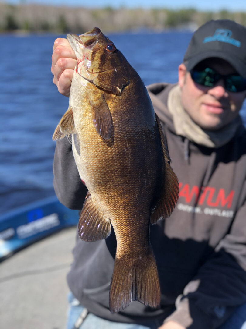 Wisconsin Bass Fishing Guide | Rivers and Flowages for Spring Smallmouths
